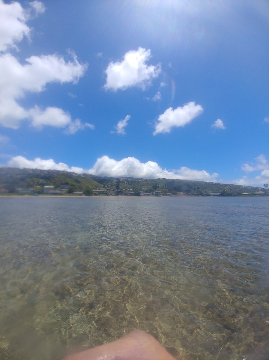 Summer Fieldwork 2018 Has Begun! – Veronica Gibson, PhD